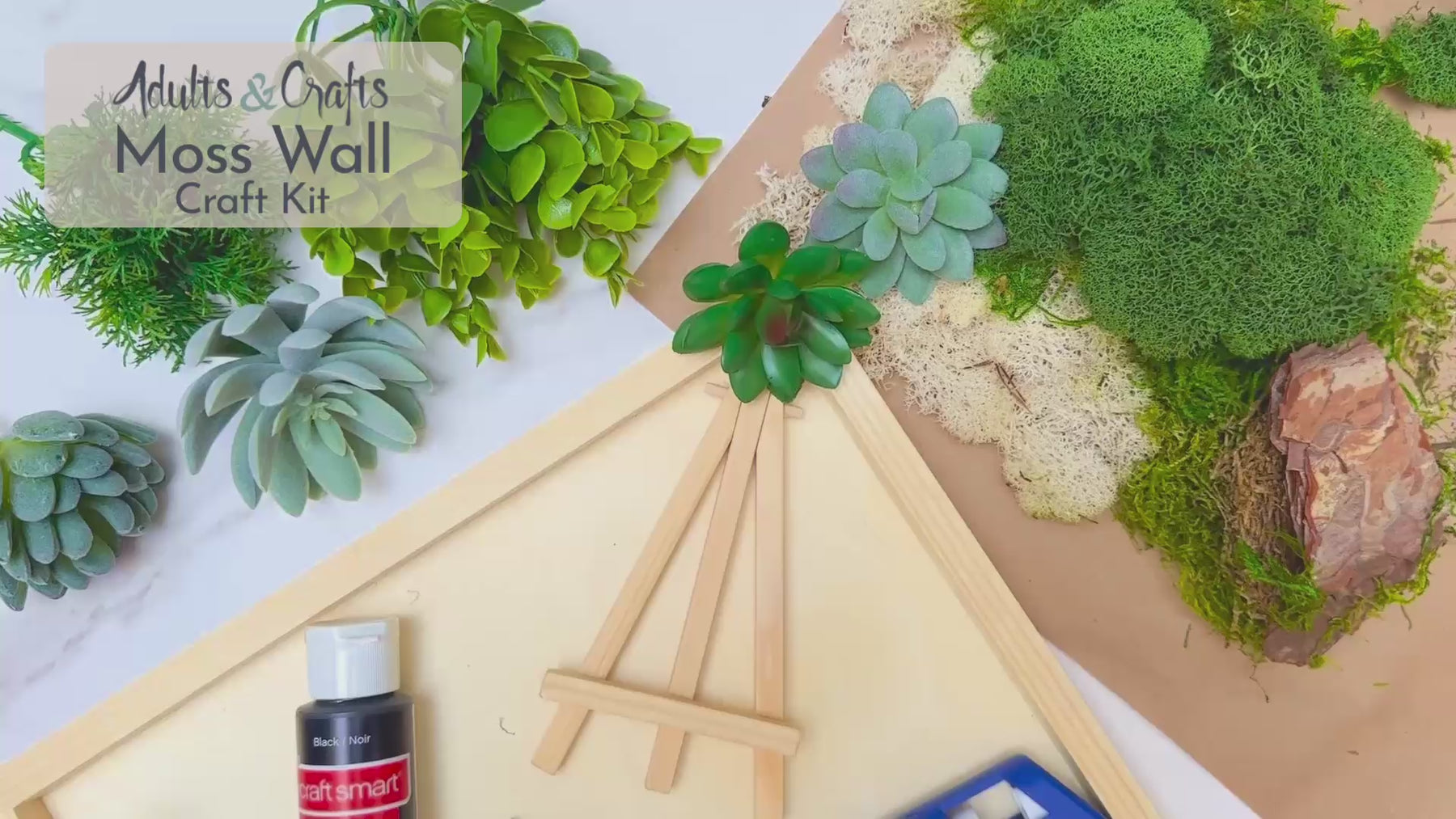 Moss Wall Kit